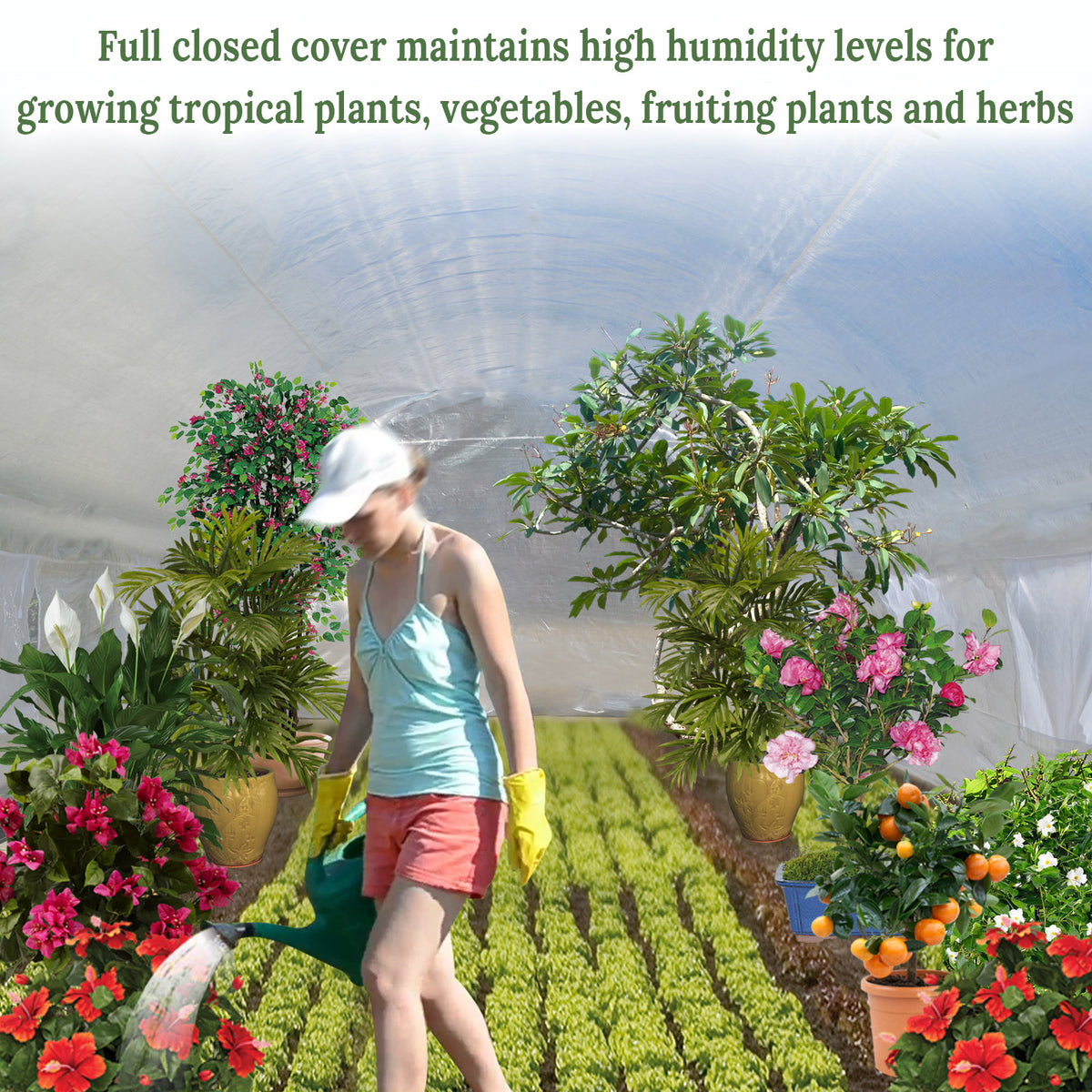 Greenhouse Replacement Cover Larger Walk in Outdoor Plant Gardening Gr ...